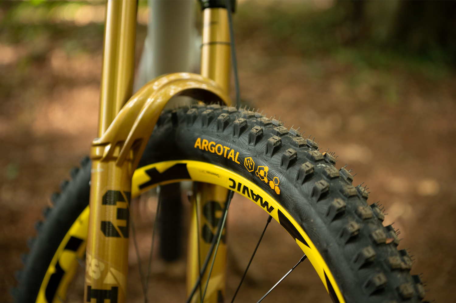 Continental Argotal im Test: Spezialist für losen Untergrund - Bike ...